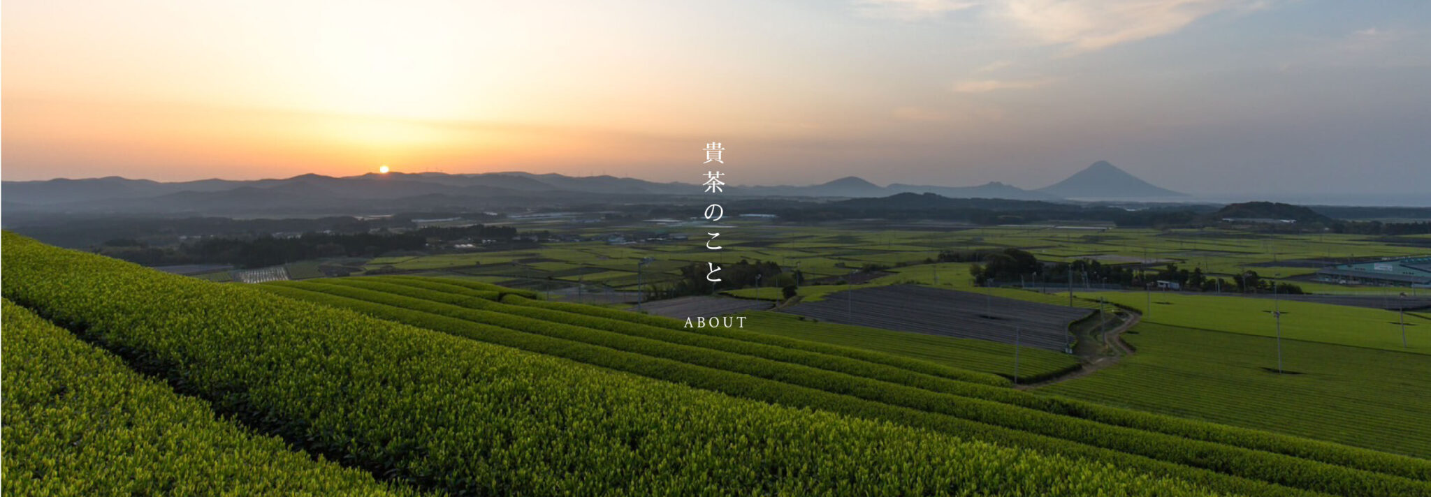 ABOUT | 貴茶-takacha-